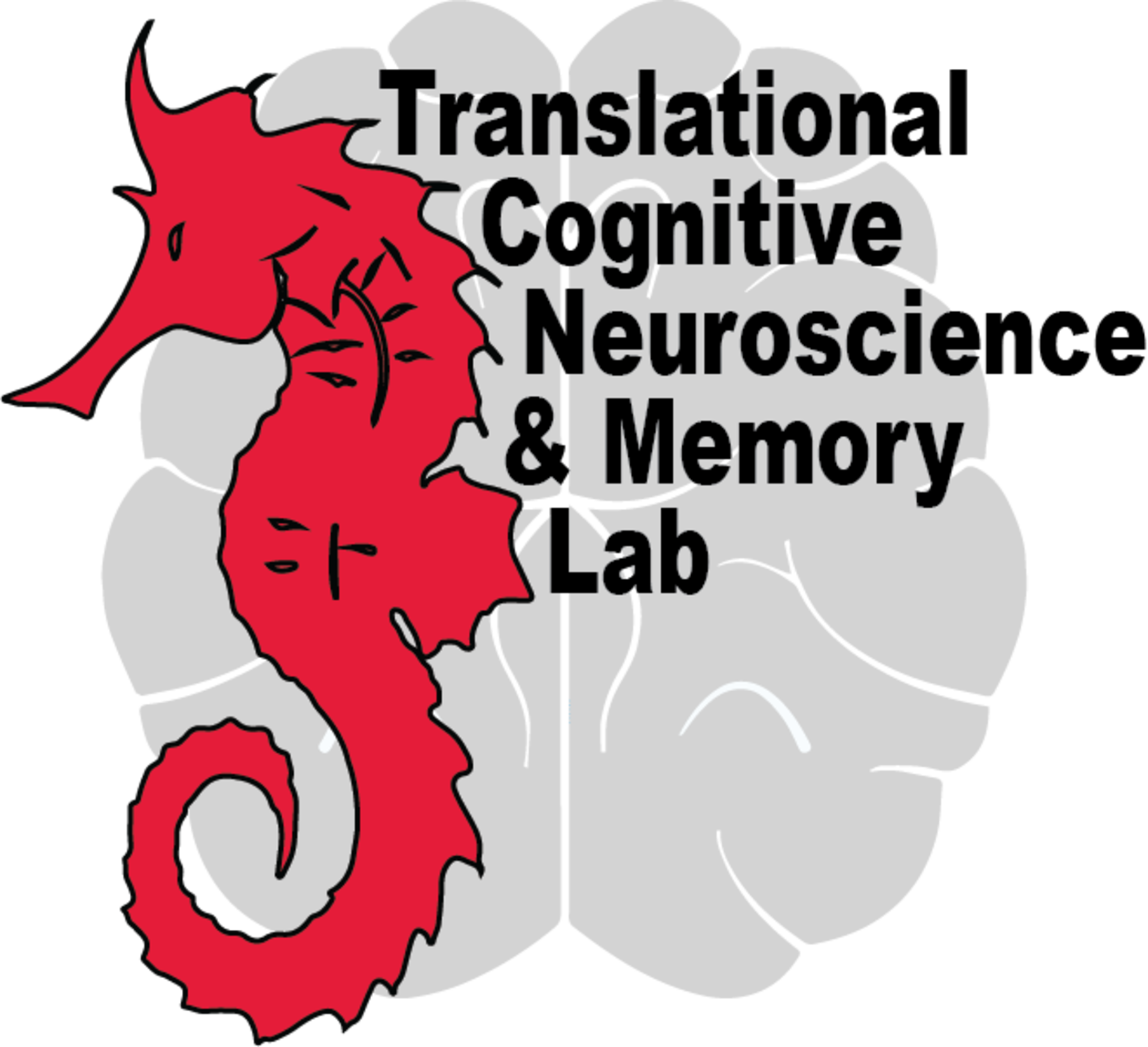 Translational Cognitive Neuroscience & Memory Lab | Nebraska